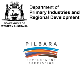 REMPLAN Region Profiles and Explorers